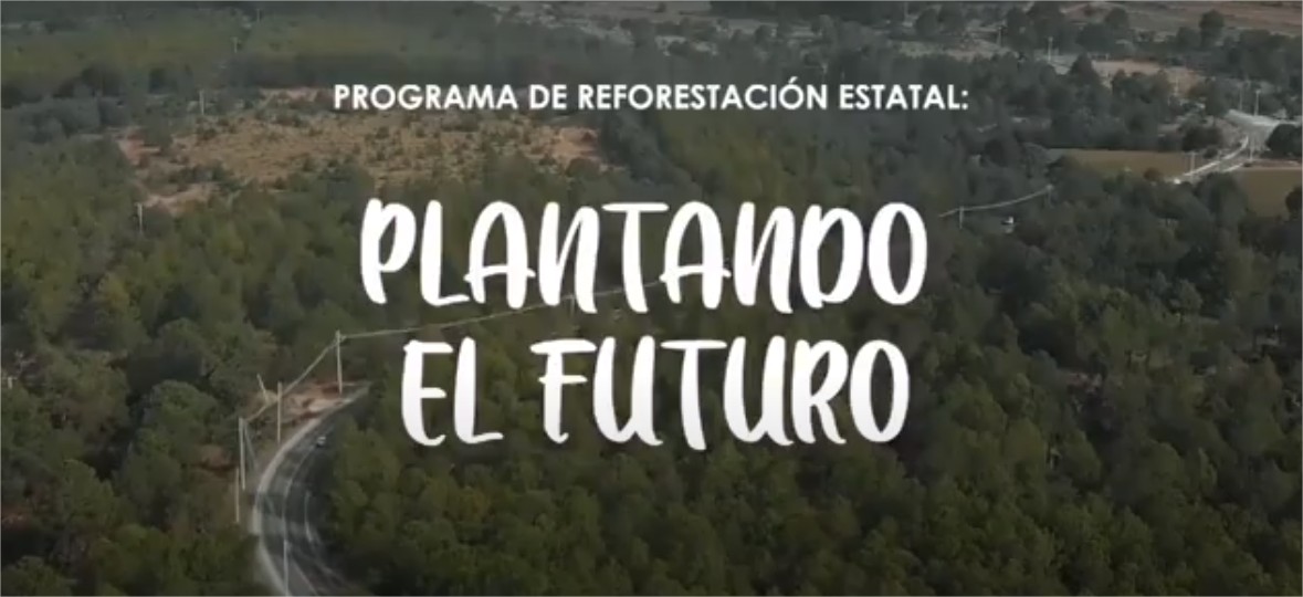 Gobierno del Estado de Veracruz a través de la PMA y Sefiplan, pusieron ...